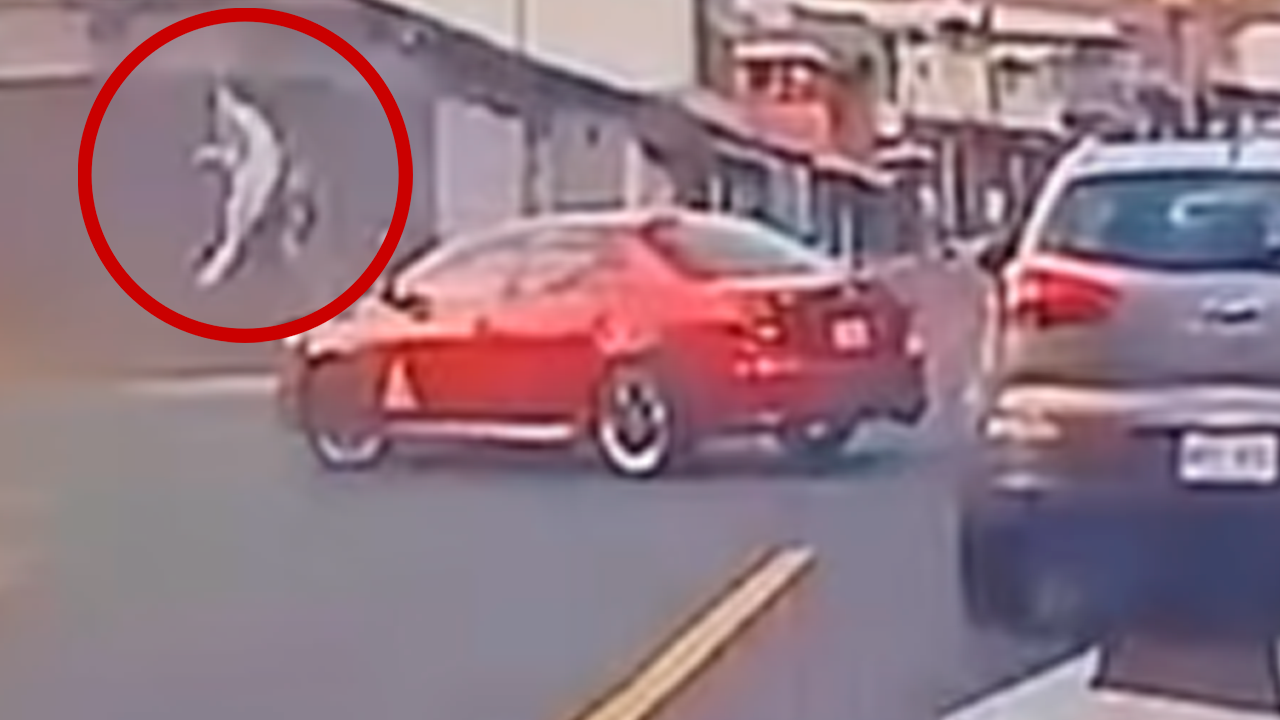 Video: Taxista giró a la izquierda y provocó brutal accidente que mandó ...